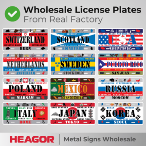 India New Delhi Custom Souvenir License Plates